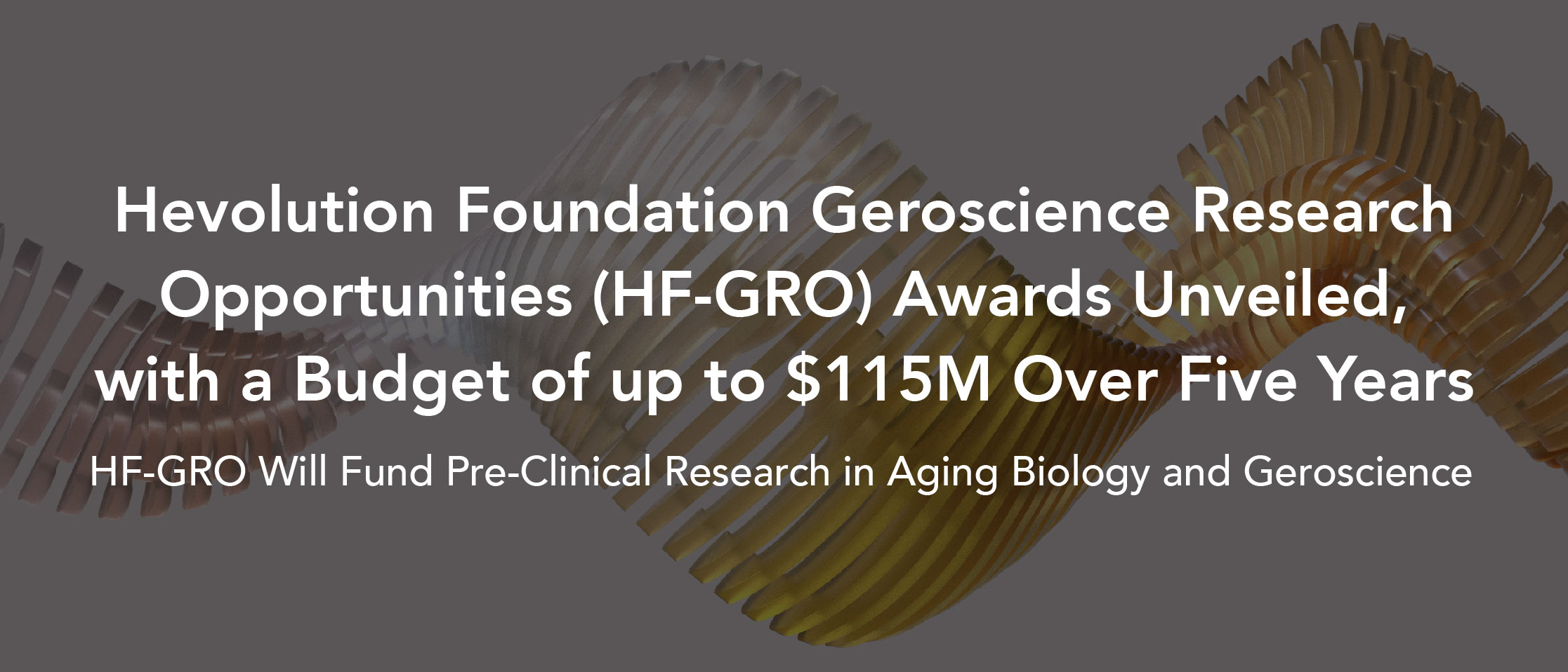 Home - Hevolution Foundation